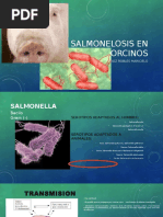 Ficha Tecnica Matador90 Adama tcm43-17165 | PDF | Pesticida | Agricultura