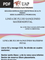 Efecto Poseiro | PDF | Placenta | Feto