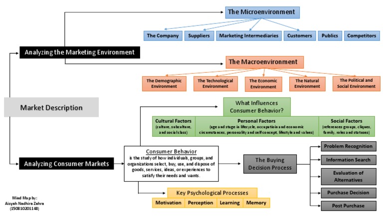 MindMap of Market Description | PDF | Consumer Behaviour | Behavior