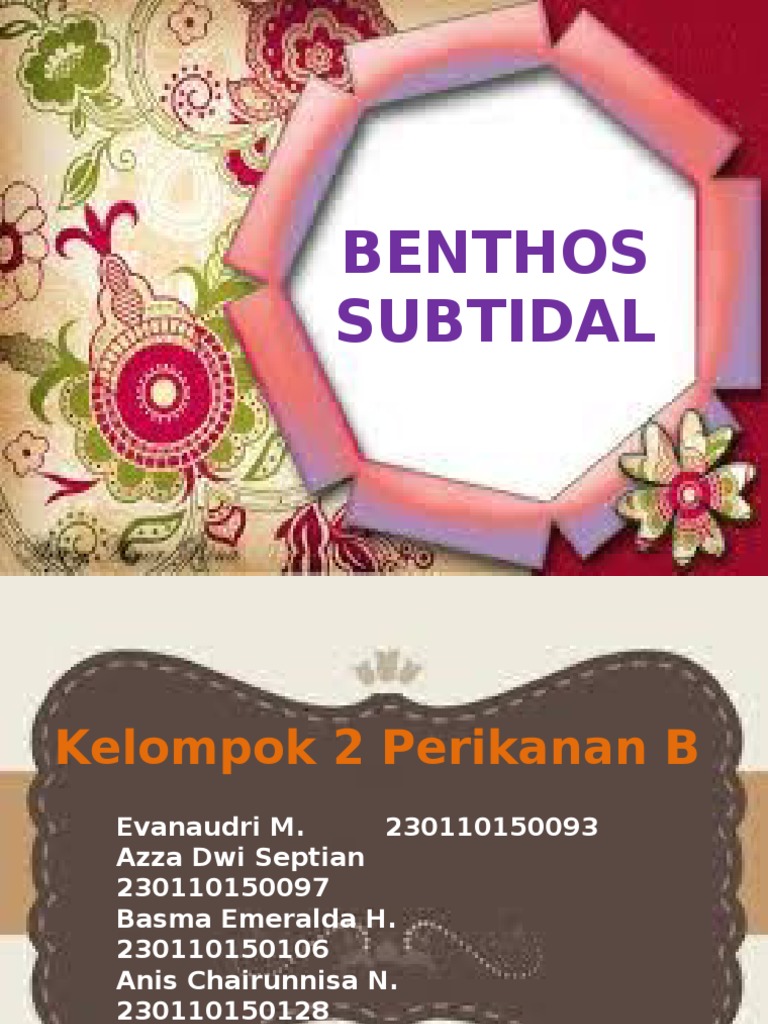 Benthos Subtidal | PDF