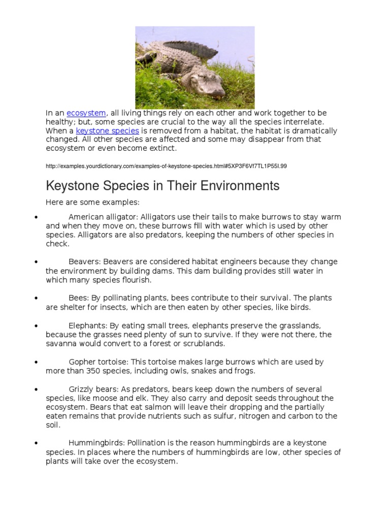 Examples of Keystone Species | PDF | Ecology | Systems Ecology