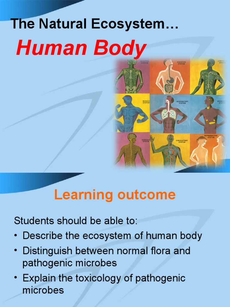 Human Body Ecosystem and Pathogens | PDF | Lipopolysaccharide | Immune ...