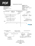 Pathophysiology of Choledocholithiasis | PDF