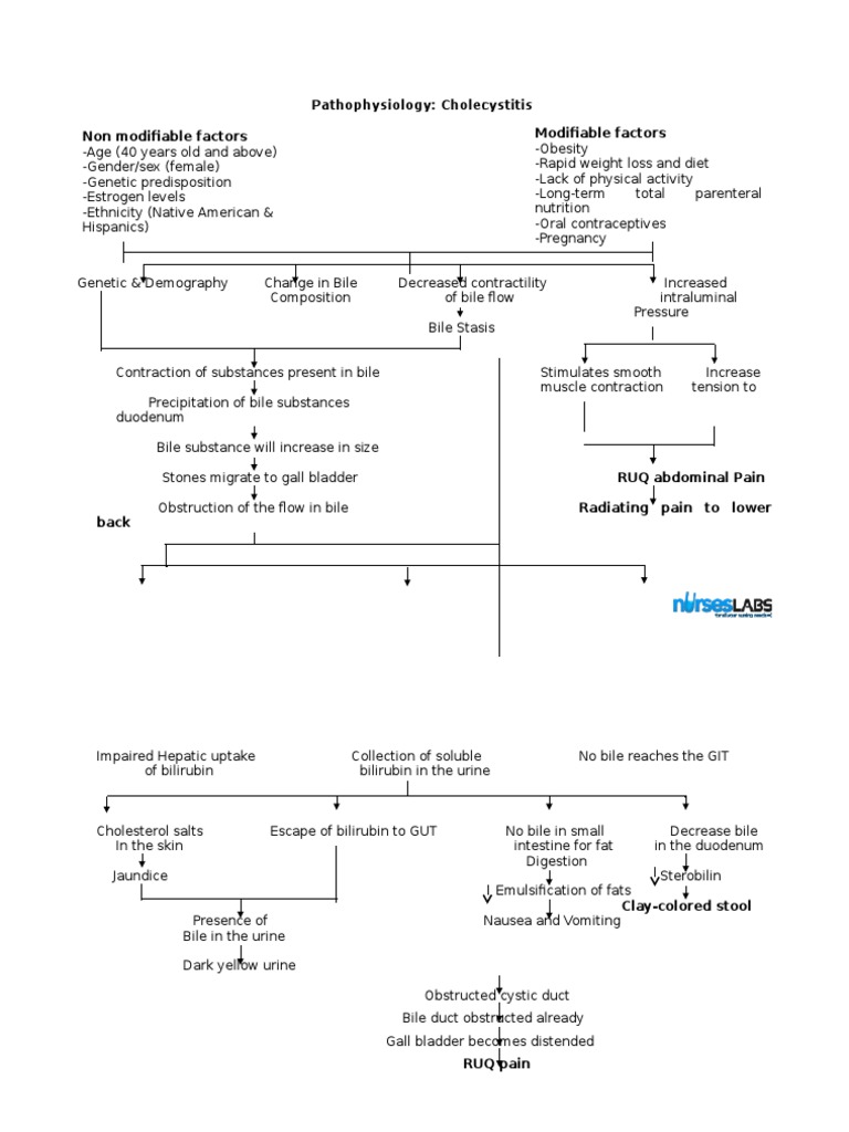 136062216 Cholecystitis Pathophysiology Schematic Diagram | Bile ...