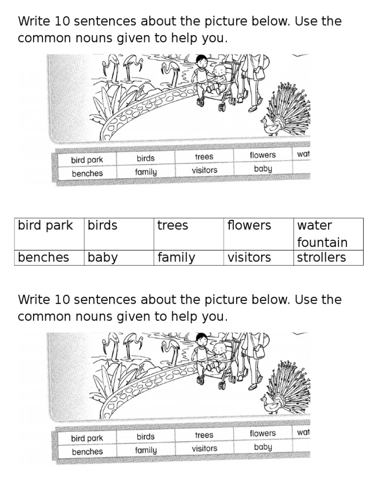 Write 10 Sentences About The Picture Below | PDF