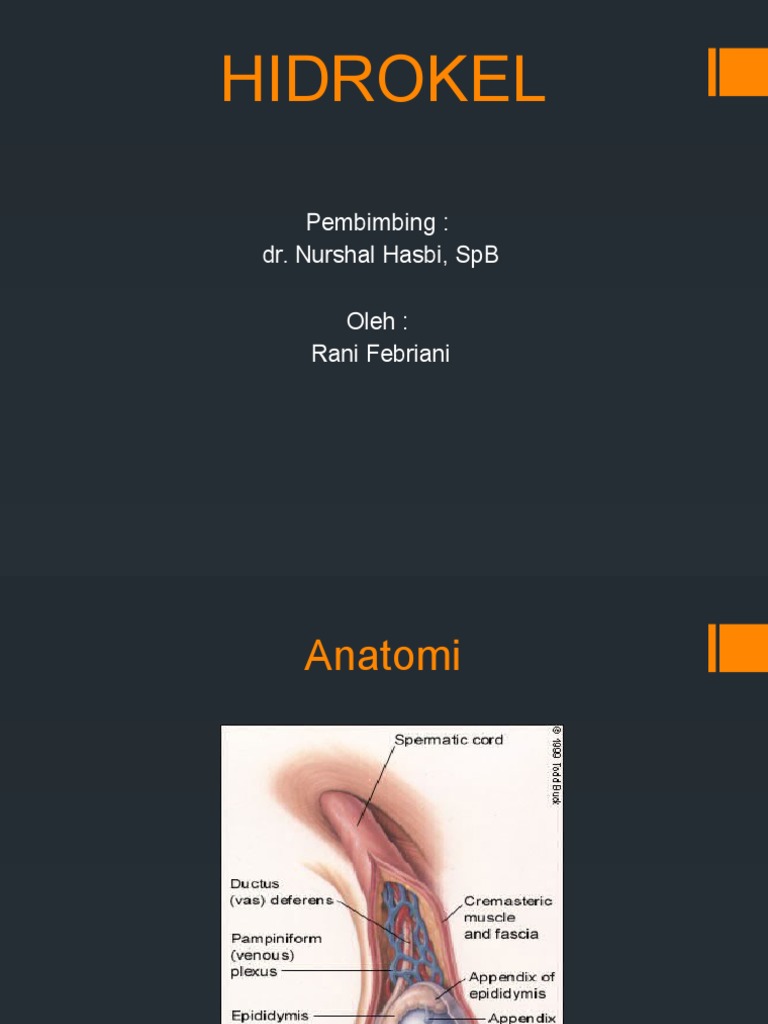 HIDROKEL | PDF | Sains & Matematika
