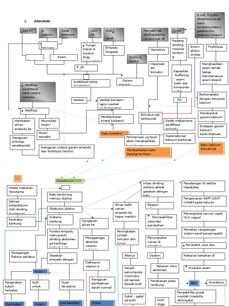 Pathway Kolelitiasis | PDF