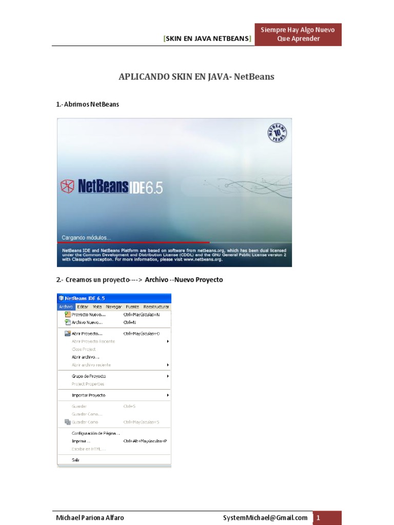 Aplicación de Skin en Java NetBeans | PDF | Frijoles Netos ...