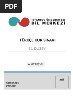 B1 Practice Paper Turkish Written | PDF