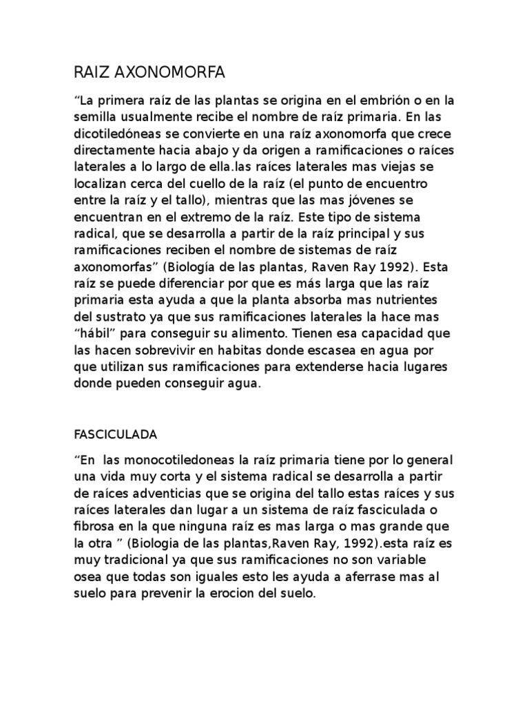 Raiz Axonomorfa | PDF | Raíz | Tallo de la planta