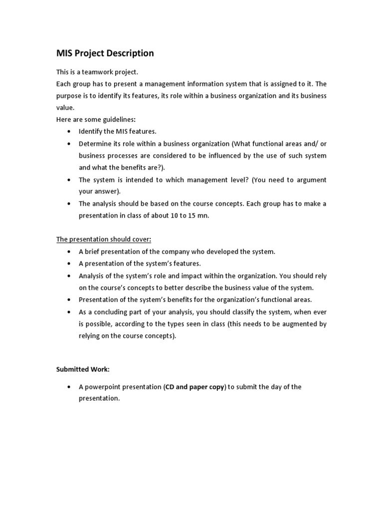 MIS Project Guidelines for Team Presentations | PDF | Business