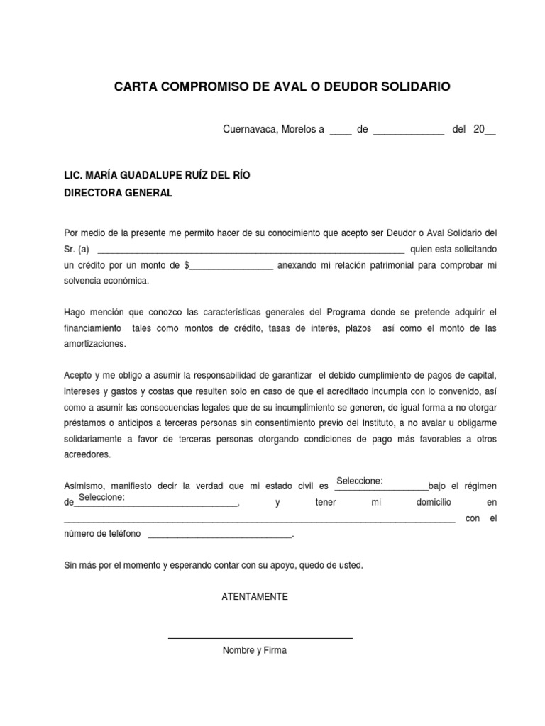 Carta Deudor Solidario Editable | PDF