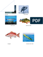 25 Types of Edible Fish | PDF