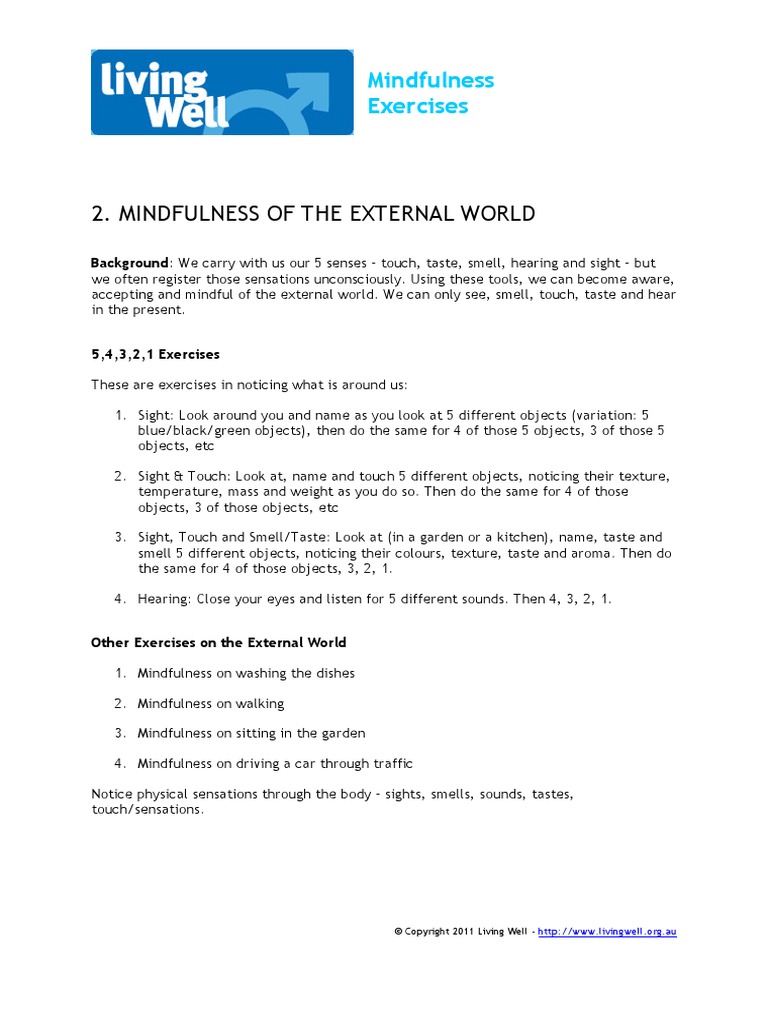 s2 MindfulnessoftheExternalWorld | PDF