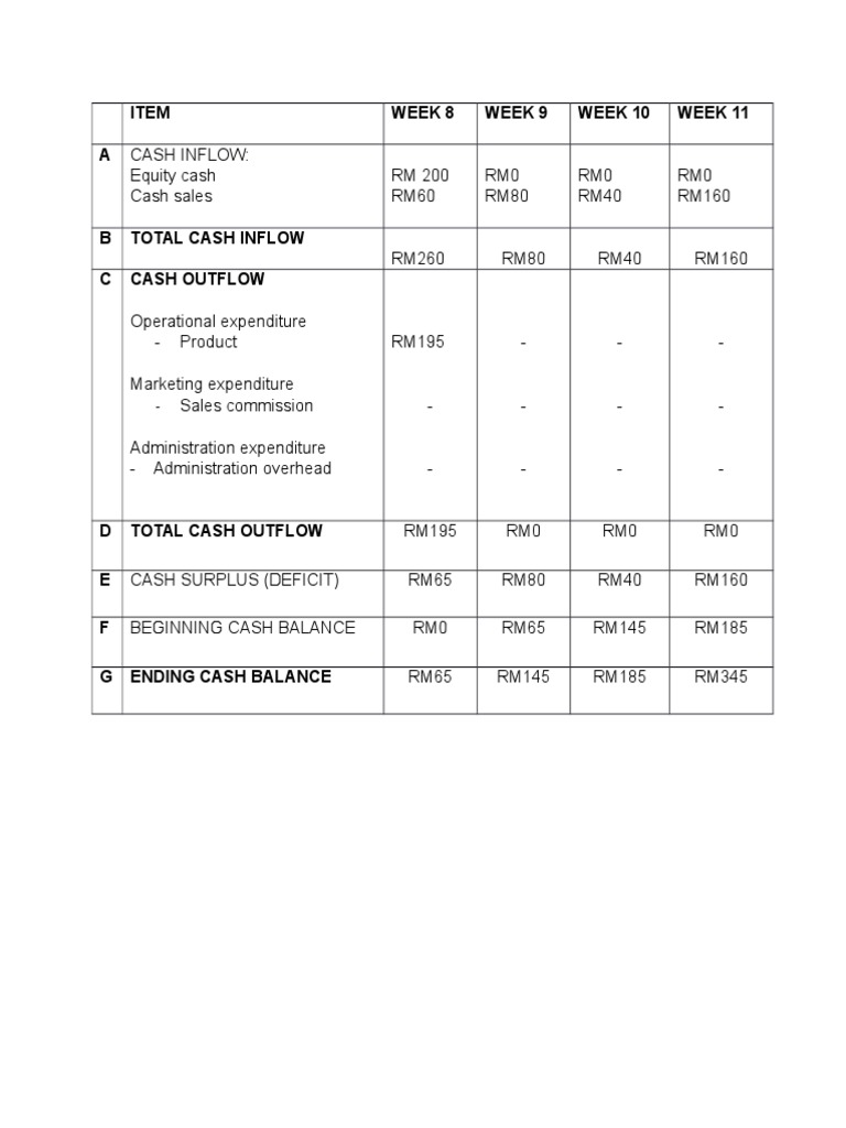 Start Up Cash Flow | PDF