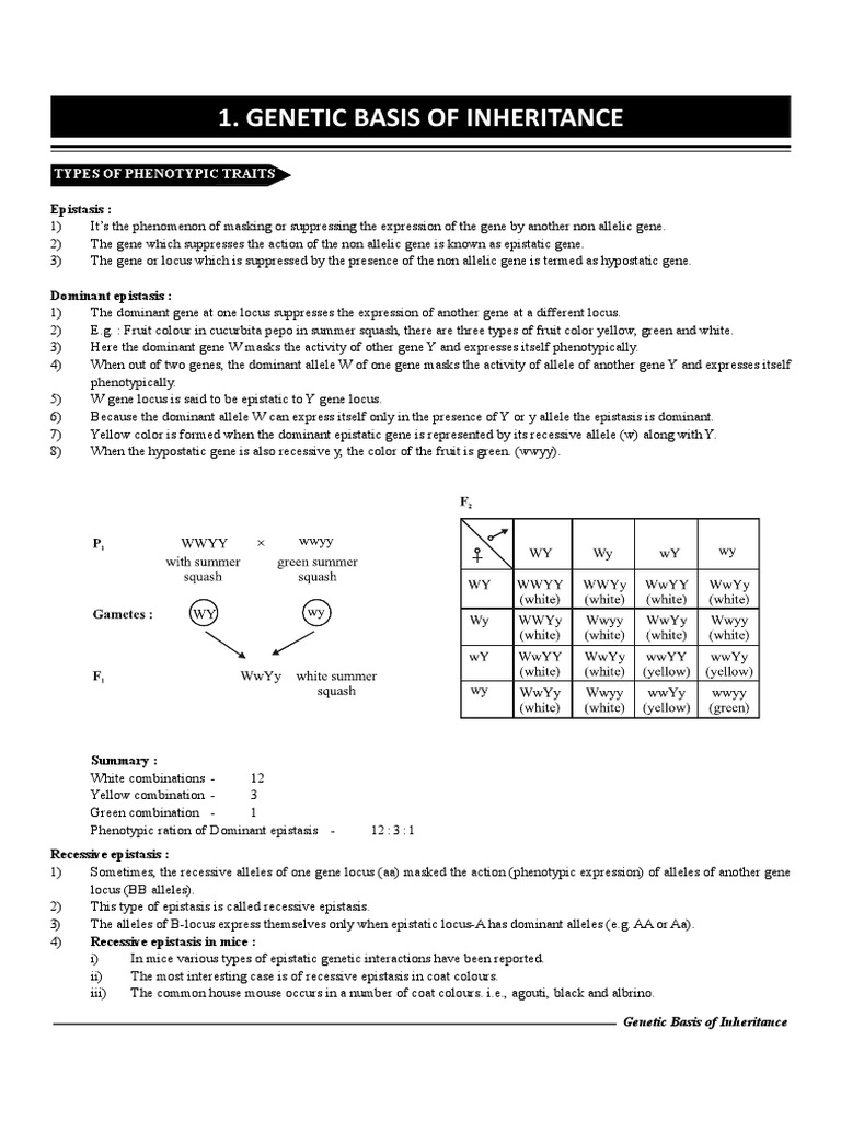 Genetic Basis of Inheritance: A Comprehensive Explanation of Epistasis ...