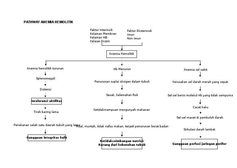 Pathway Anemia Hemolitik