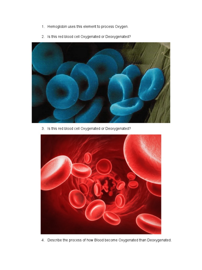 Hemoglobin Uses This Element To Process Oxygen. 2. Is This Red Blood ...