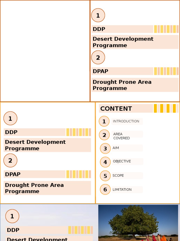 DDP Desert Development Programme | PDF | Drought | Systems Ecology