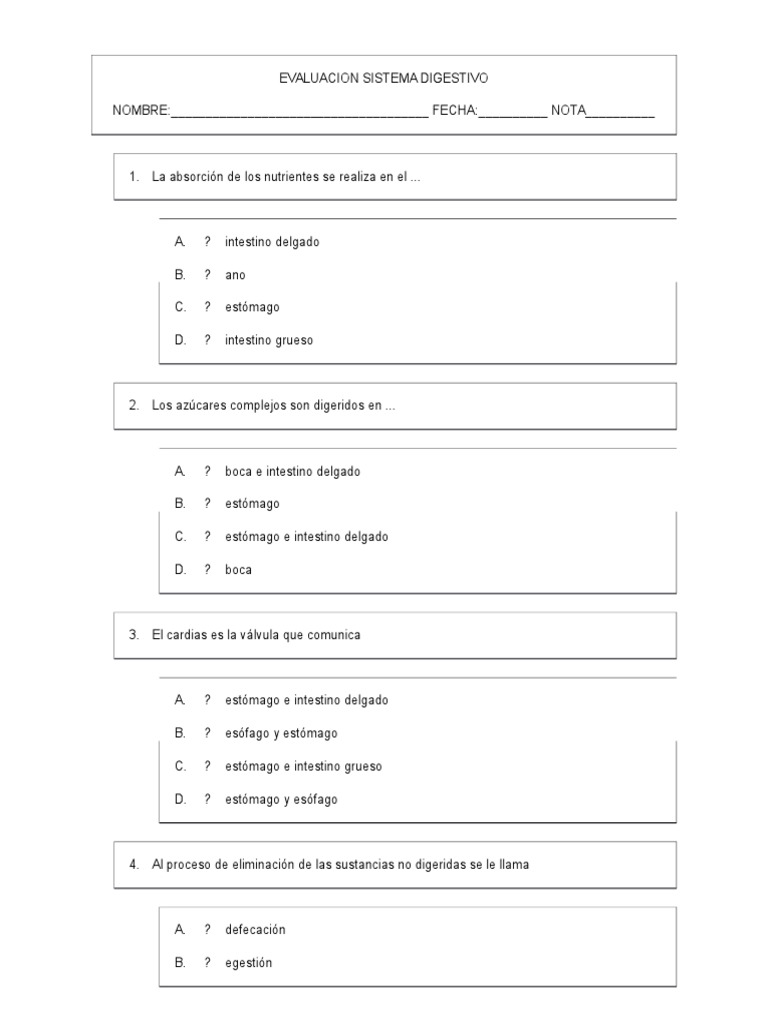 EVALUACION SISTEMA DIGESTIVO Grados 6 y 7 | PDF