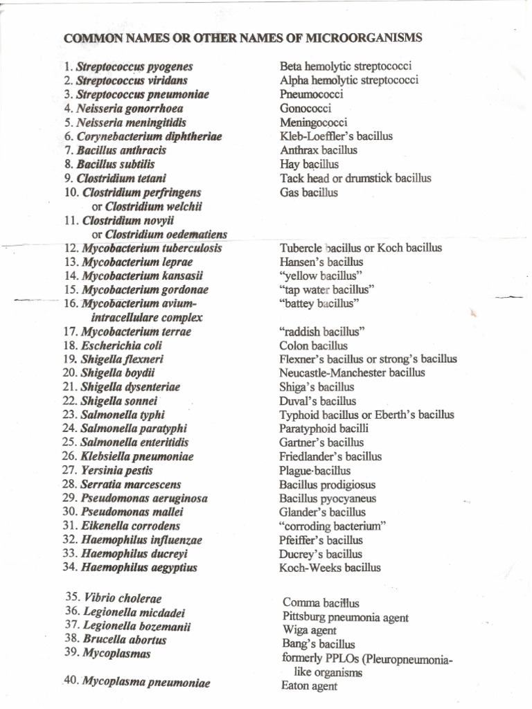 List of Bacteria Scientific Names | PDF | Streptococcus | Prokaryote