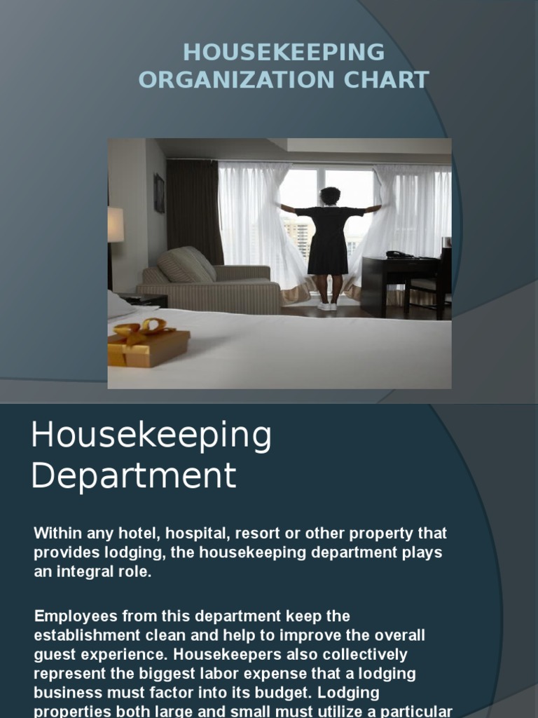 Organization Chart | PDF | Laundry | Housekeeping