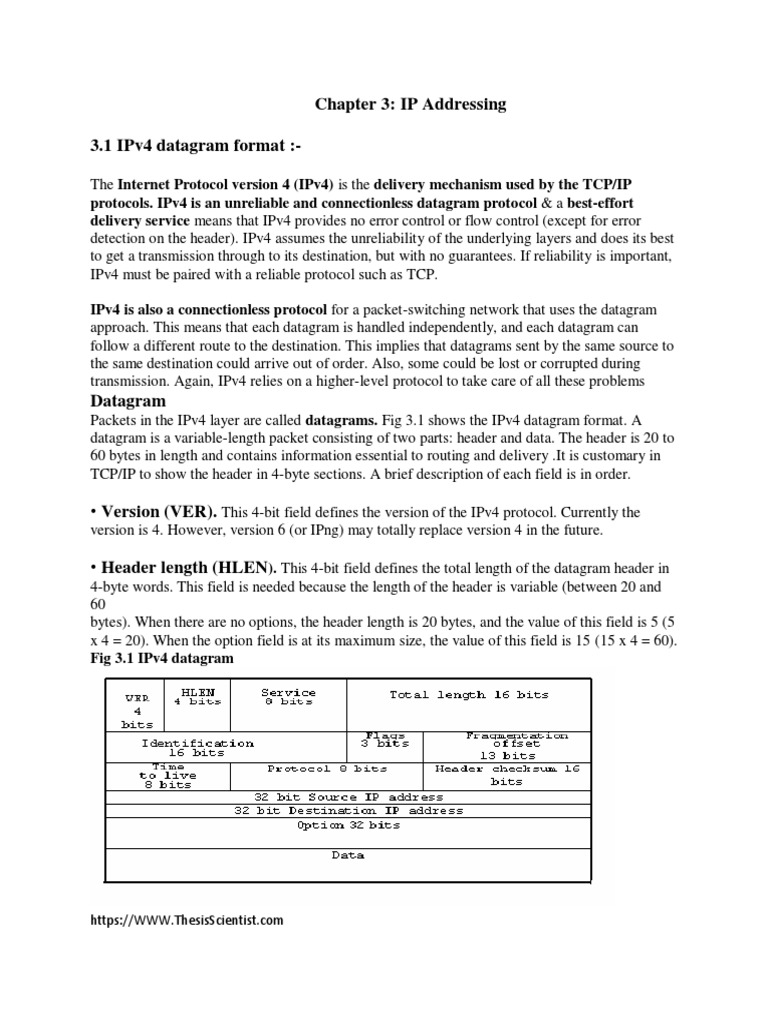 IPv4 Datagram and Addressing | PDF | Internet Protocols | I Pv6