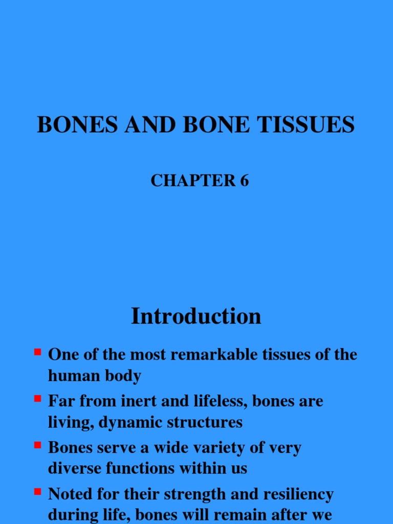 Bones and Bone Tissues: Chapter 6 | PDF | Bone | Cartilage