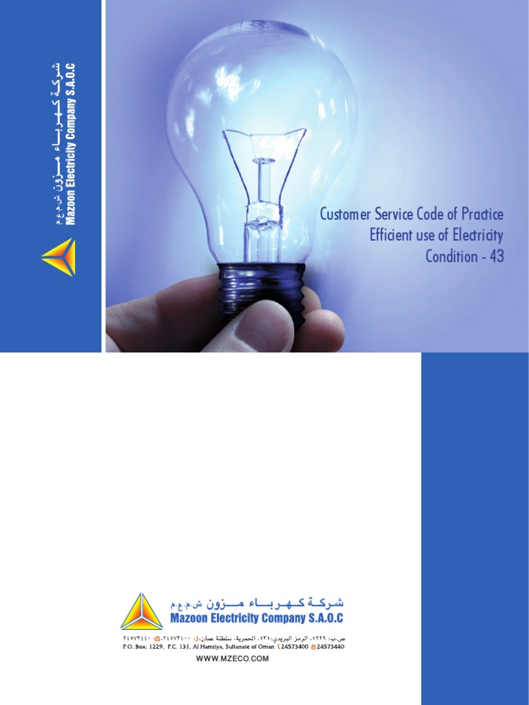 Customer Service Code of Practice Efficient Use of Electricity ...