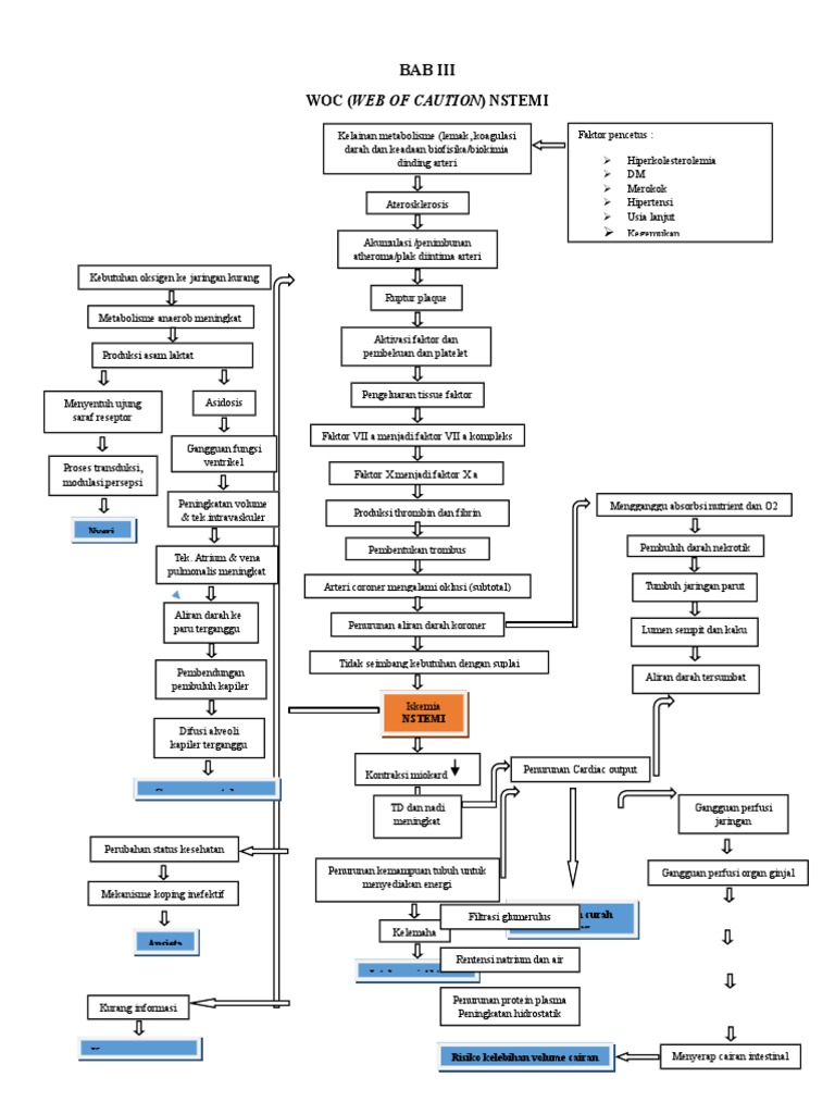 Woc Nstemi Fix | PDF
