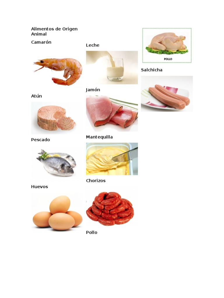 Cinco Alimentos de Origen Animal | PDF | Alimentos | Cocina