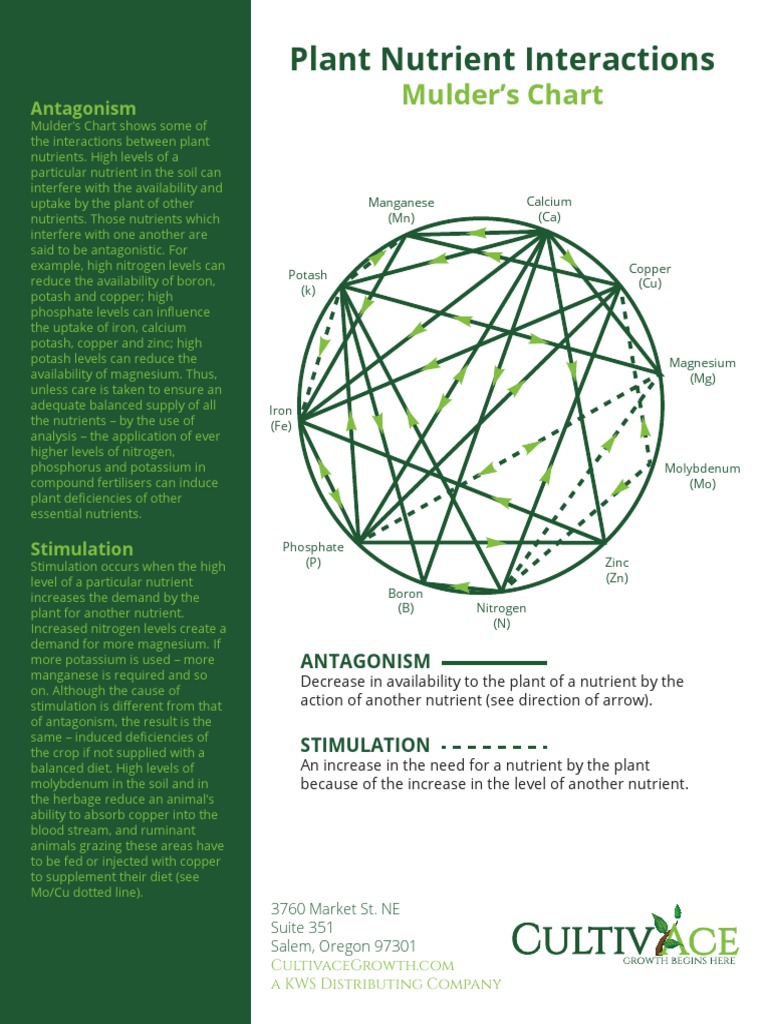 Mulder s Chart | Plant Nutrition | Nutrients