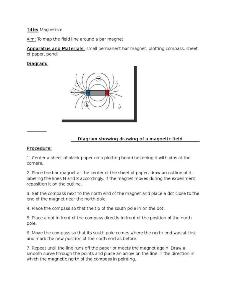 Mapping Magnetic Field Lines | PDF
