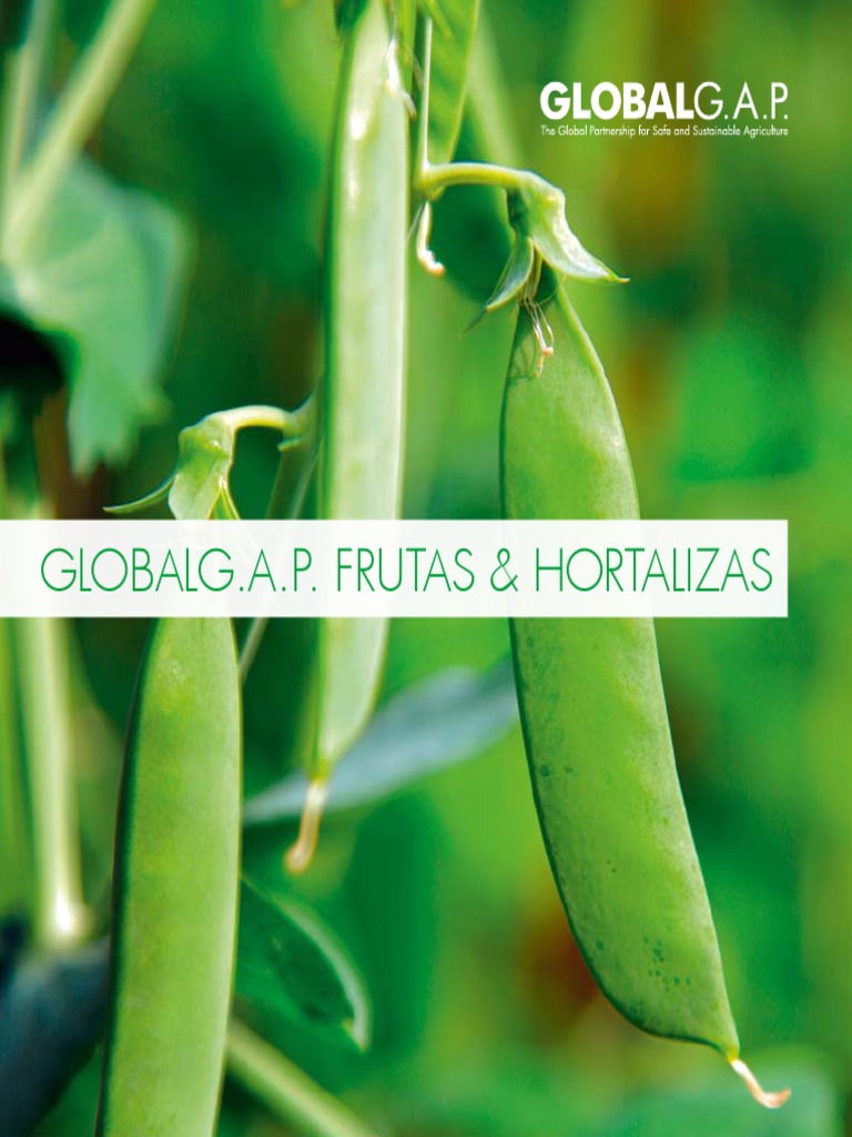 Norma Globalgap PDF | PDF | Calidad (comercial) | Science