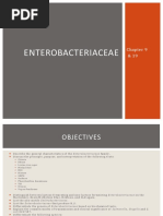 Biochemical Test and Identification of E.coli | PDF | Escherichia Coli