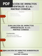 Metodo de Vicente Conesa | PDF | Evaluación de impacto ambiental | Matriz (Matemáticas)