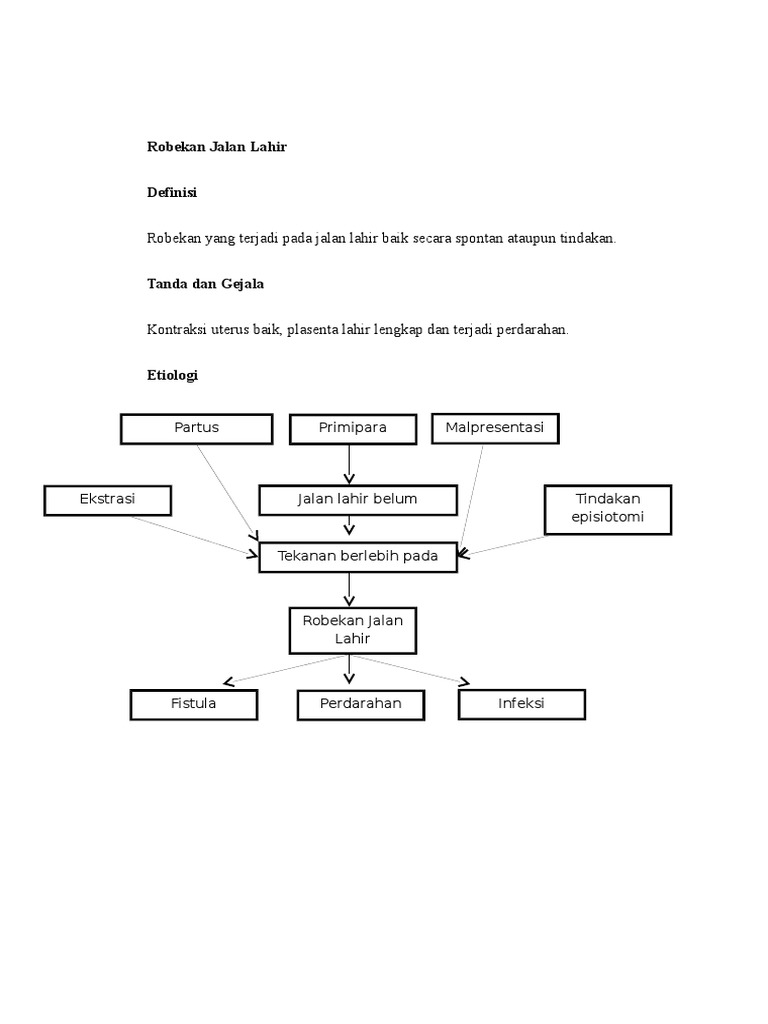 Robekan Jalan Lahir | PDF