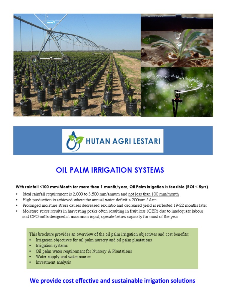 Oil Palm Brochure | Download Free PDF | Plant Nursery | Irrigation