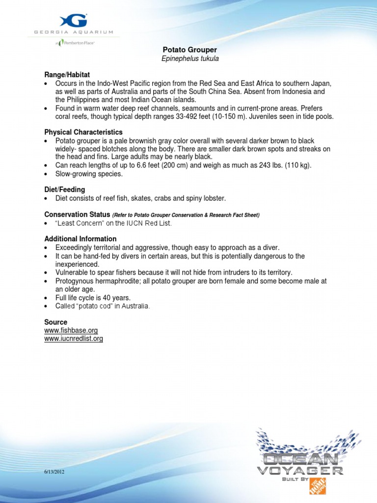 Range/Habitat: Potato Grouper | PDF | Coral Reef | Sea