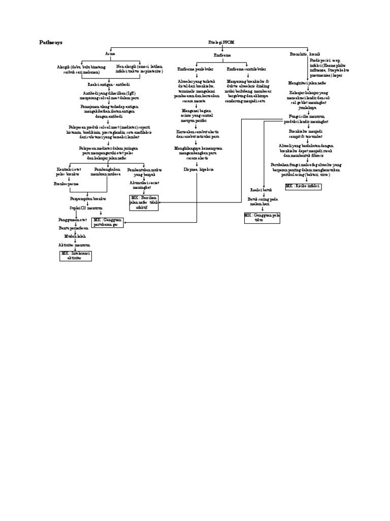 Pathway Emfisema | PDF