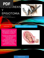 Maniobra de Ritgen | PDF | Parto | Reproducción