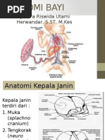 Anatomi Tengkorak Kepala Bayi | PDF