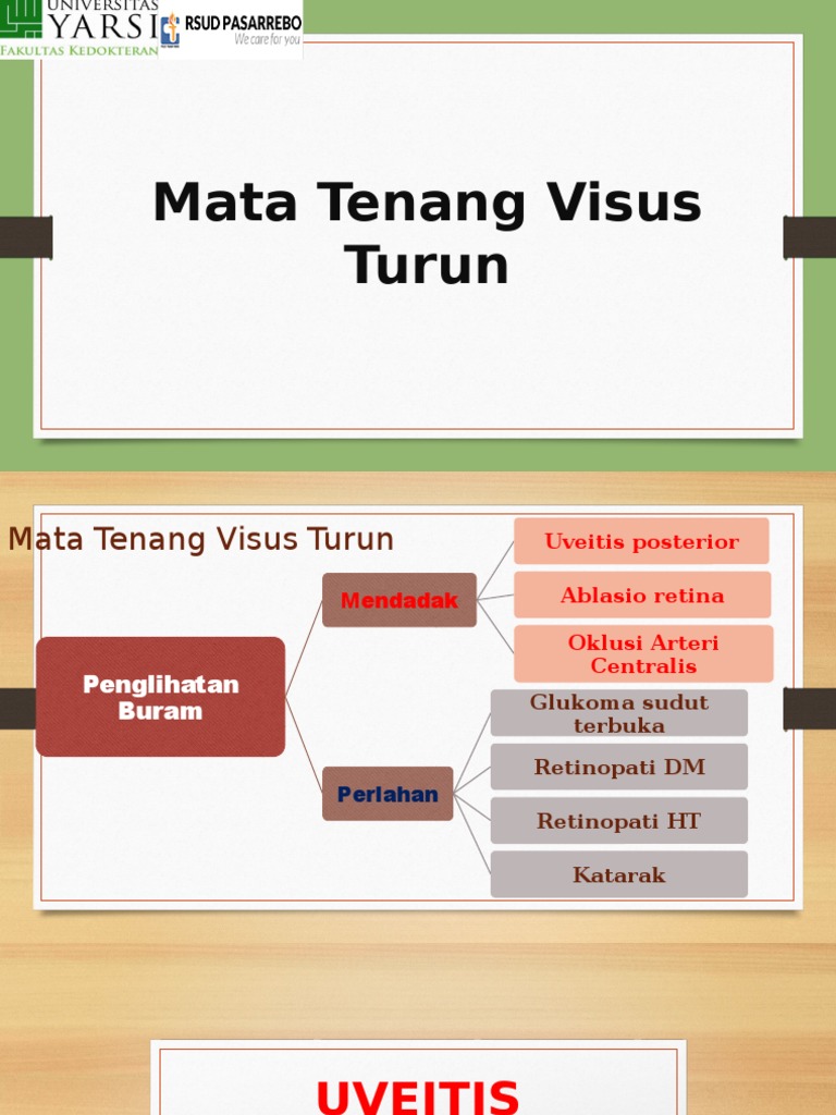Mata Tenang Visus Turun | PDF
