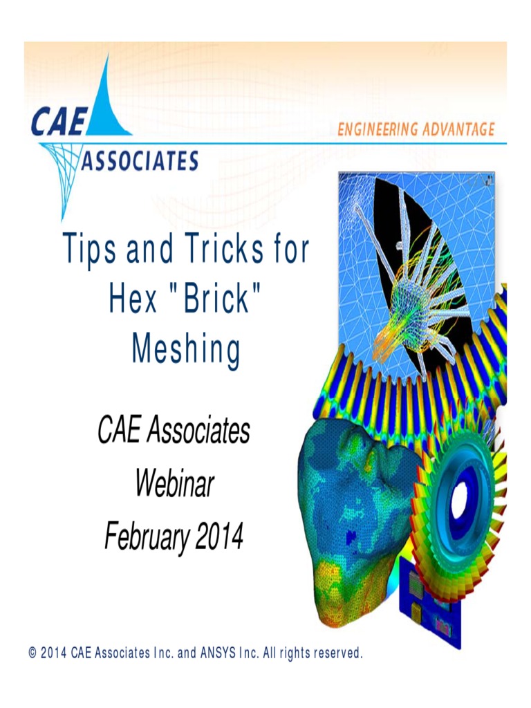 Hex Meshing CAEA | PDF | Technology & Engineering