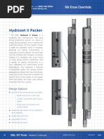 Packers Catalog SCHLUMBERGER | Pipe (Fluid Conveyance) | Casing (Borehole)