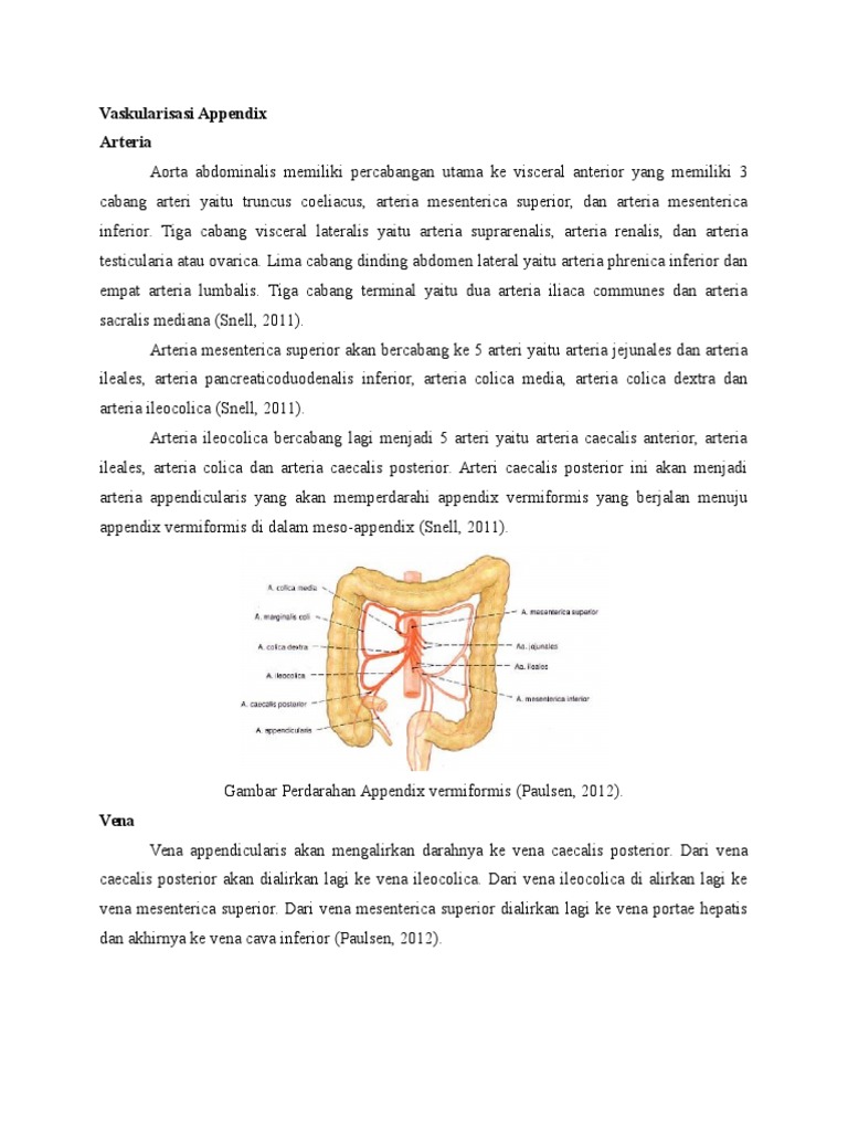Vaskularisasi Appendix | PDF