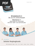 Anatomie Van Het Paard | PDF