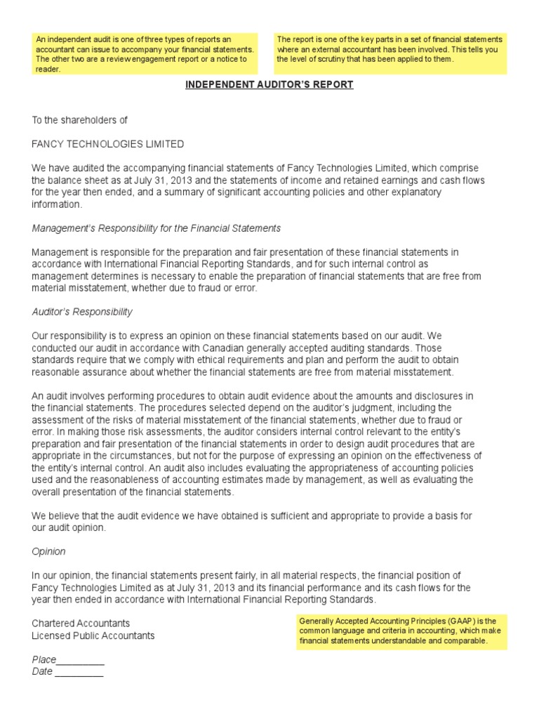 Sample Auditors Report | PDF | Financial Audit | Financial Statement
