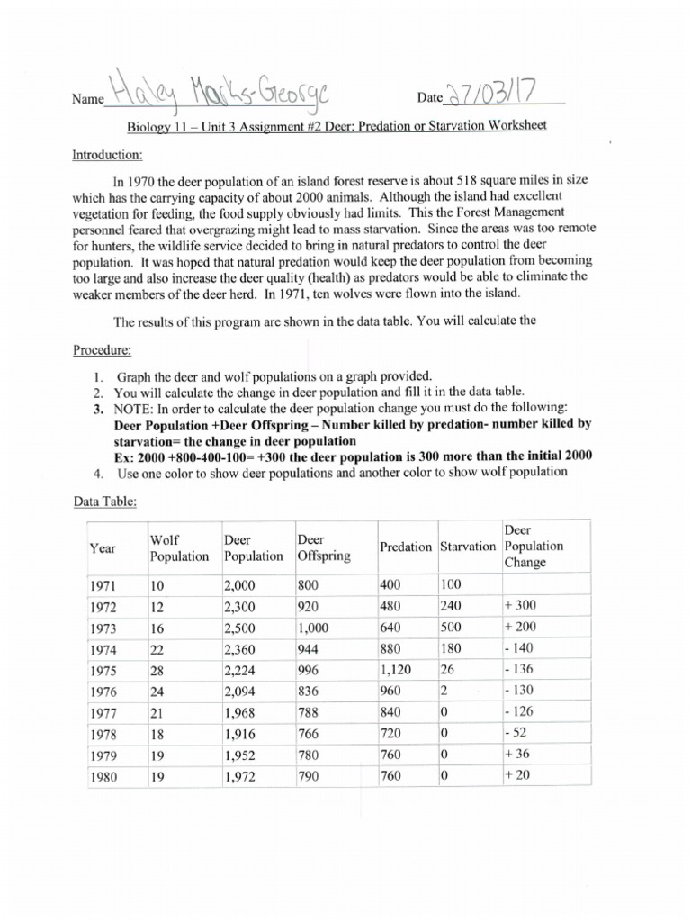 Deer Predation or Starvation Worksheet | PDF