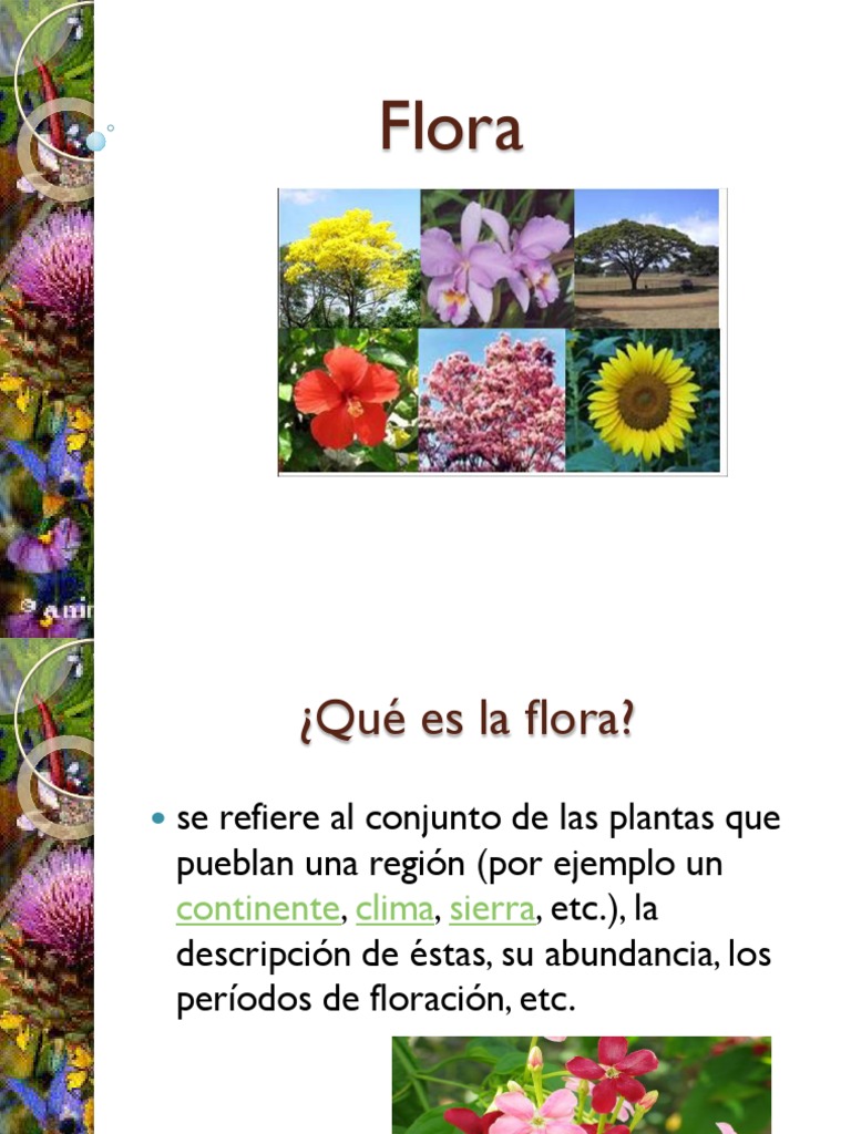 Definición y tipos de flora | PDF | Flora | Américas
